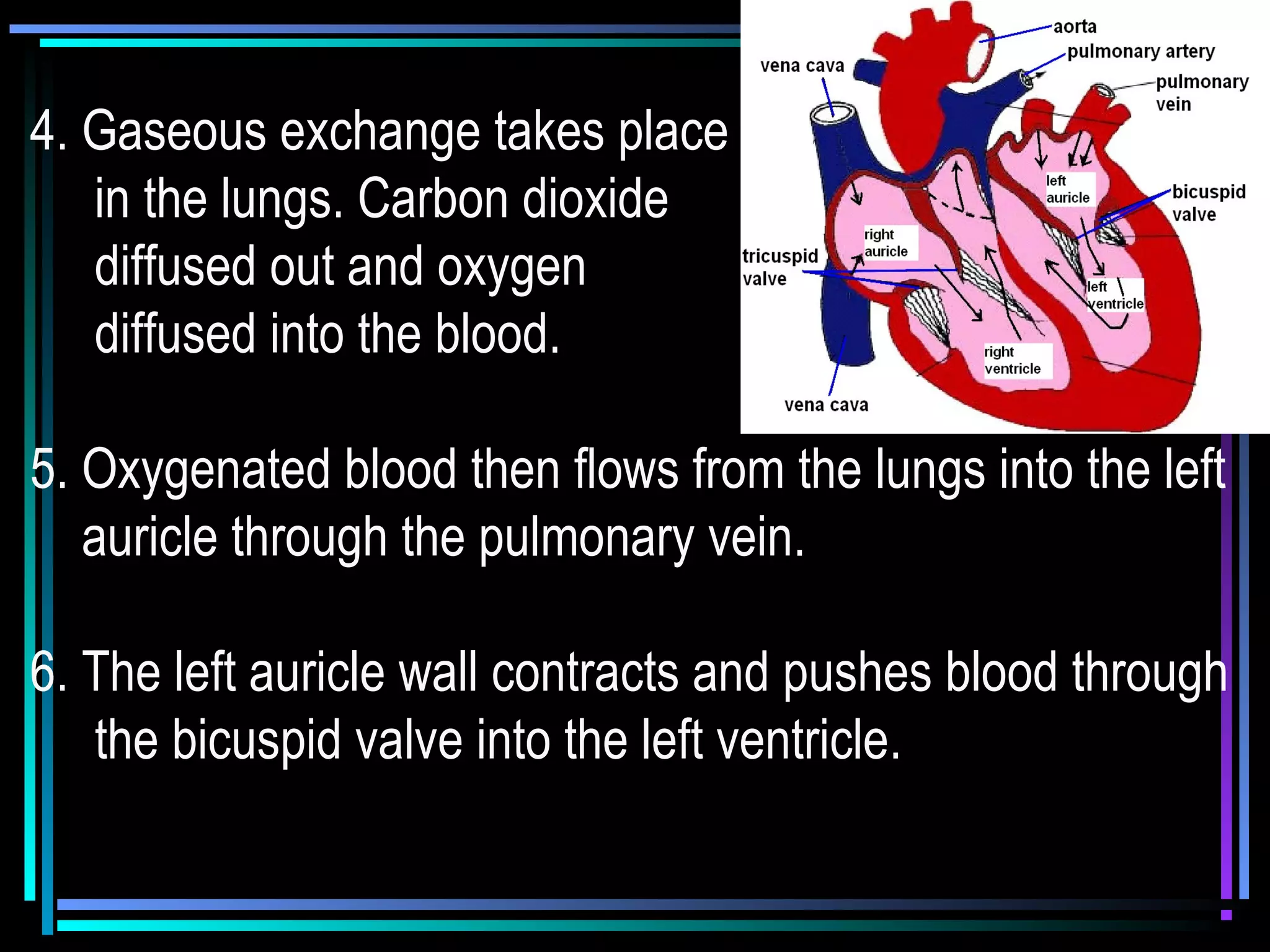 2.1 blood circulation | PPT