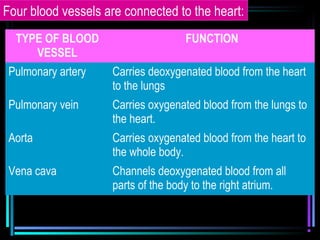 2.1 blood circulation | PPT