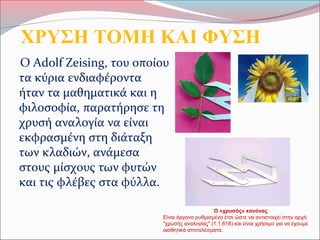 Η χρυσή τομή | PPT