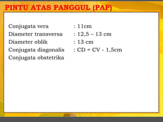 2. panggul dan siklus hormonal - | PPT
