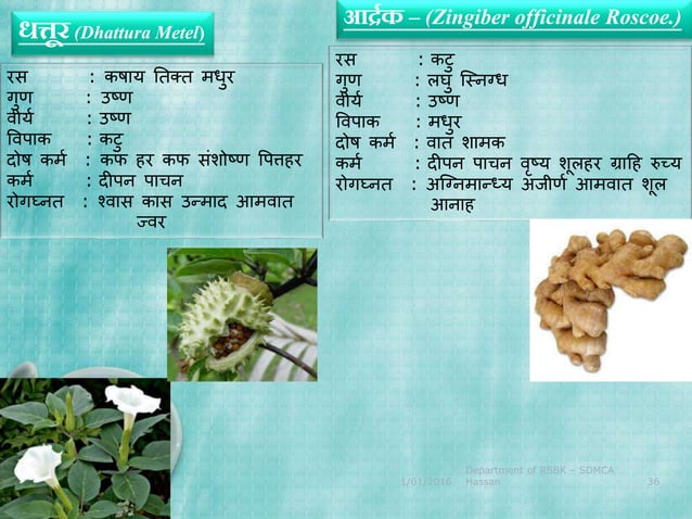 2.ekangaveera vatagajankusa | PPTX
