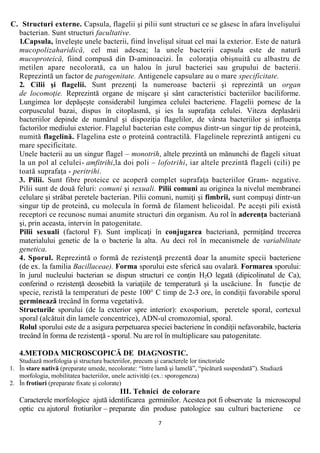 2.3. microbiologia. morfologia,ultrastructura bacteriilor. metoda ...