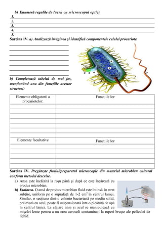 2.5 lucrarea de laborator nr.1 | PDF