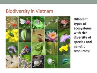 Nguyen Thanh Thao, Ministry of Natural Resources and Environment of ...