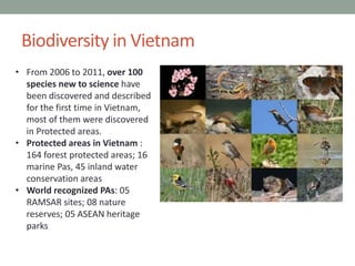 Nguyen Thanh Thao, Ministry of Natural Resources and Environment of ...