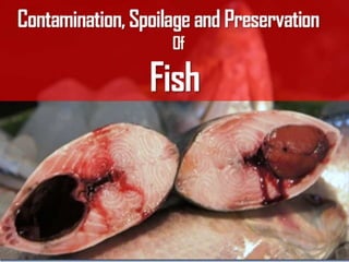 Contamination, spoilage and preservation of fish | PPTX