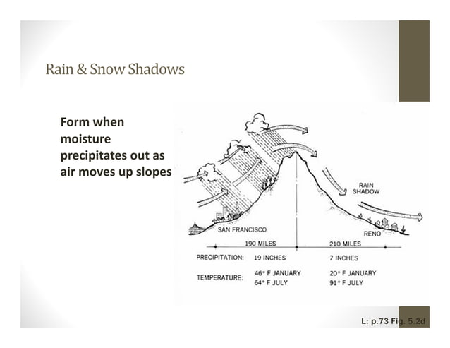 2. Microclimate | PDF | Indoor Environmental Quality | Home & Garden