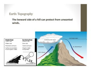 2. Microclimate | PDF