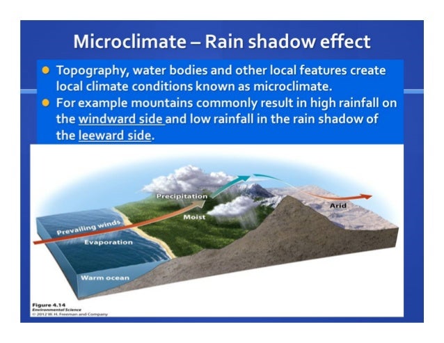 2. Microclimate