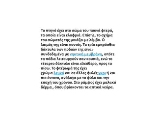 Η πάπια | PPTX