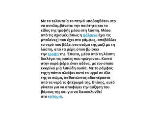 Η πάπια | PPTX
