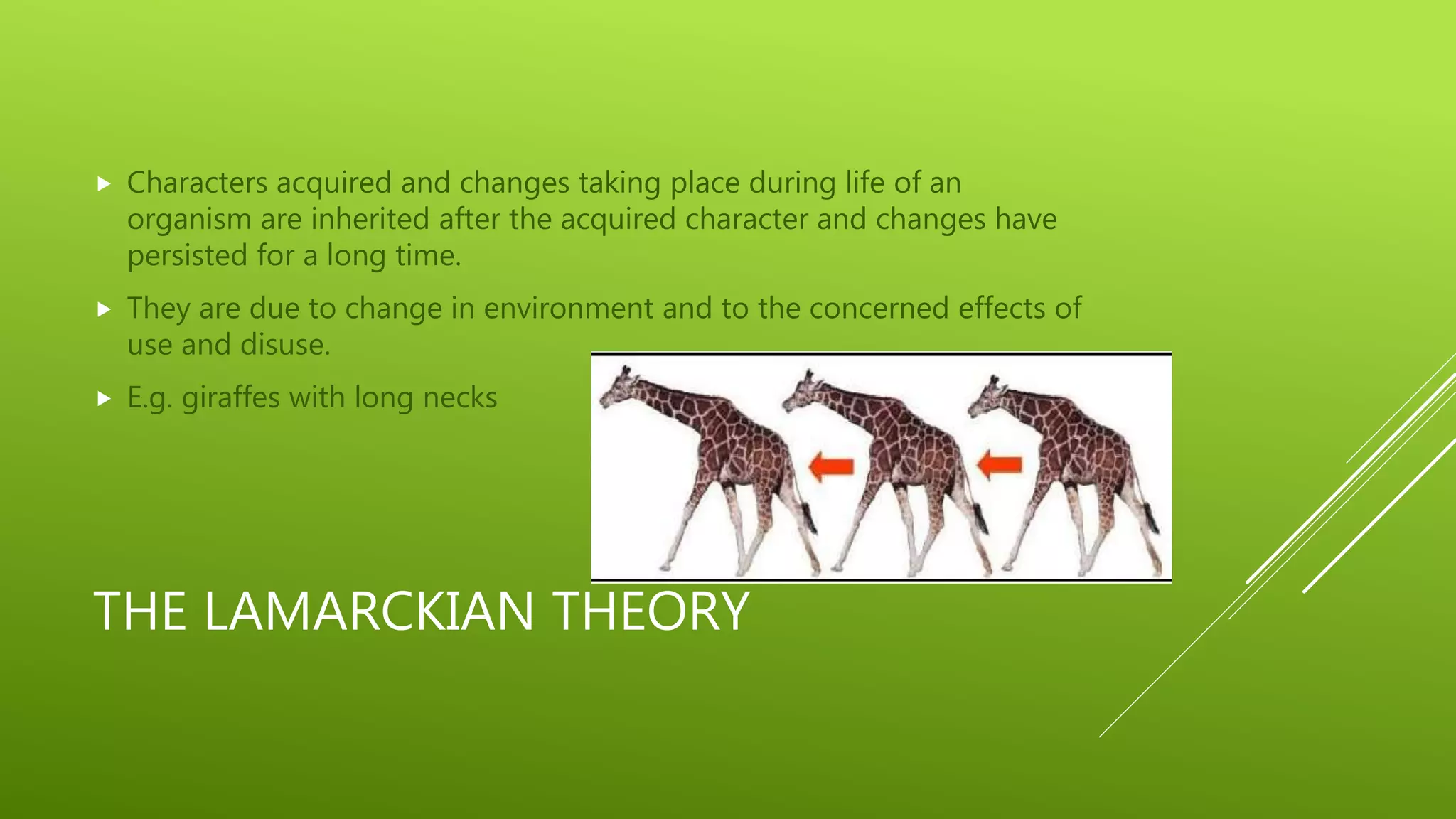 Evolution & Development of Face | PPTX
