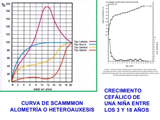 2.creciniento y desarrollo humano 2016