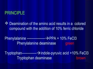 Phenylalanine Deaminase Reaction