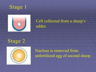 Application of genomics in animals | PPTX