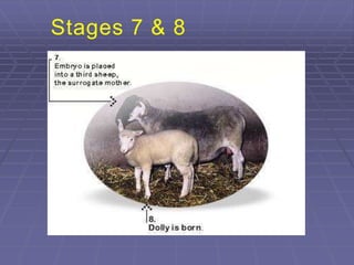 Application of genomics in animals | PPTX