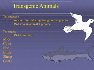 Application of genomics in animals | PPTX