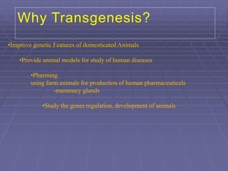 Application of genomics in animals | PPTX
