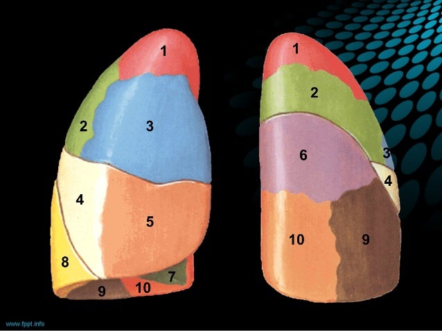 segmentacion pulmonar
