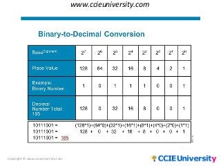 understanding binary basics
