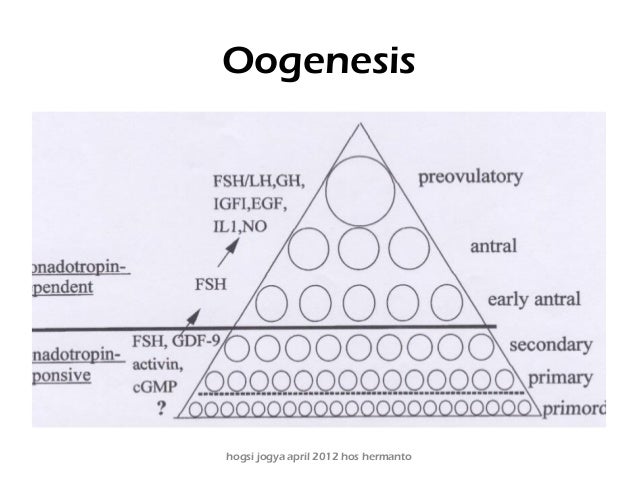 Prenatal Care - Beyond Evidence Based Obstetrics
