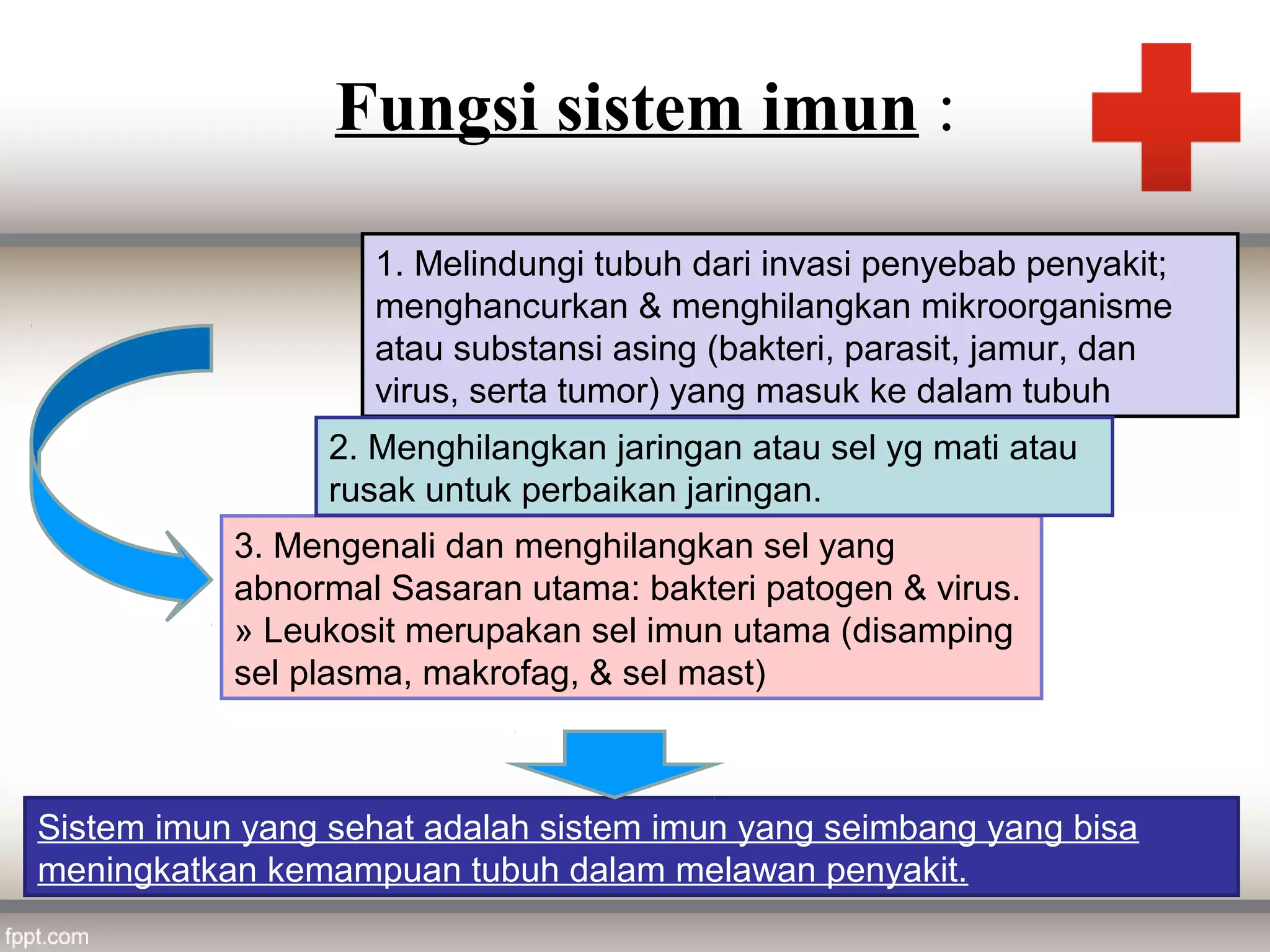 2. sistem imunologi | PPT