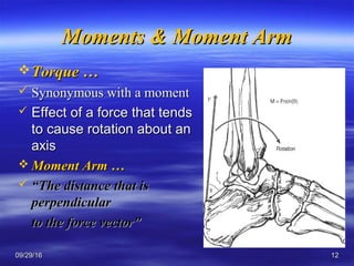 2. basic terminologies of biomechanics | PPT