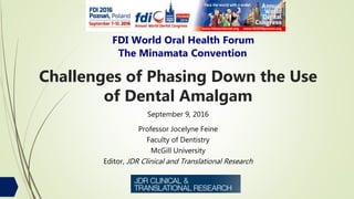 What are the challenges of phasing down the use of dental amalgam? (Jocelyn Feine) | PPT