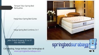springbed rosemary | PPT