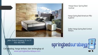 springbed spinno | PPT