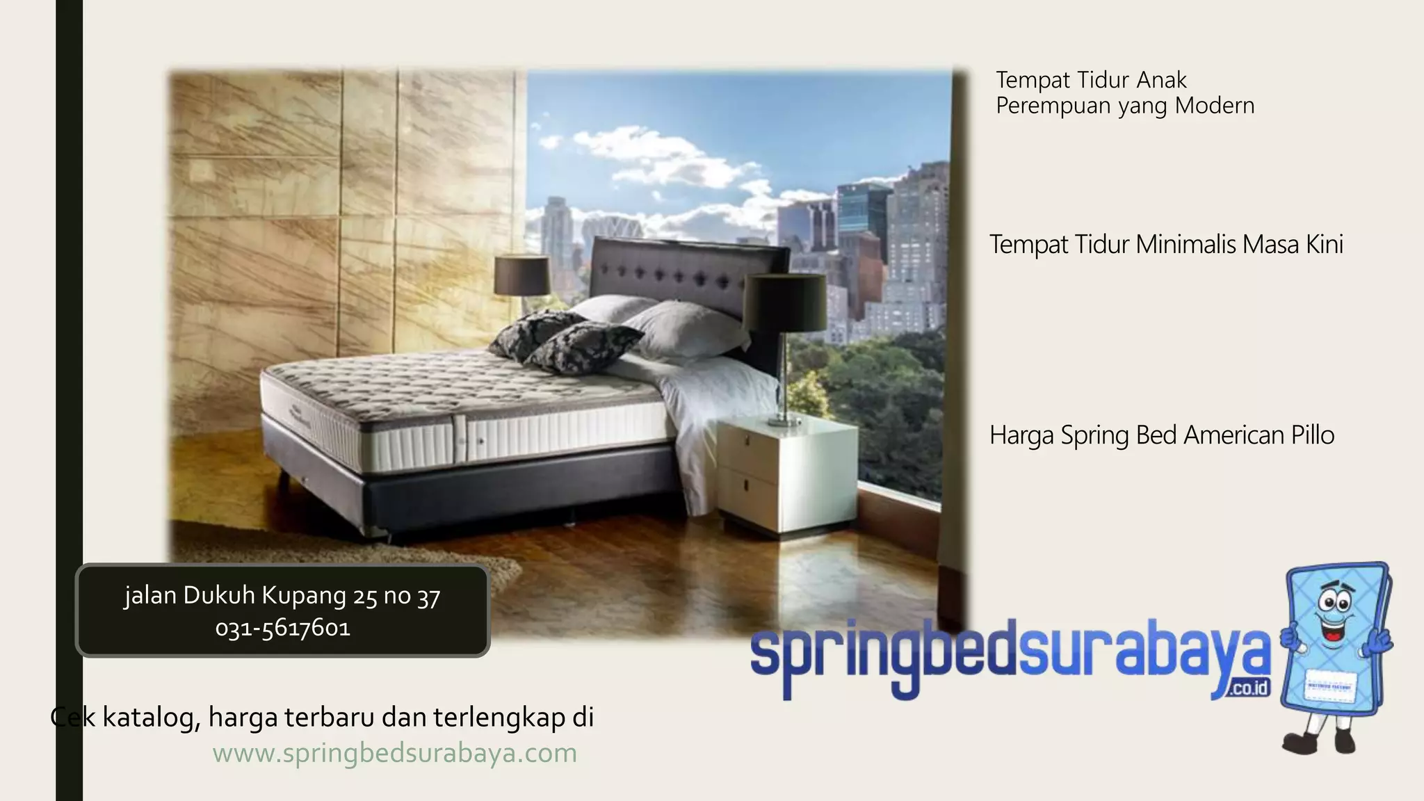 eagle springbed | PPT