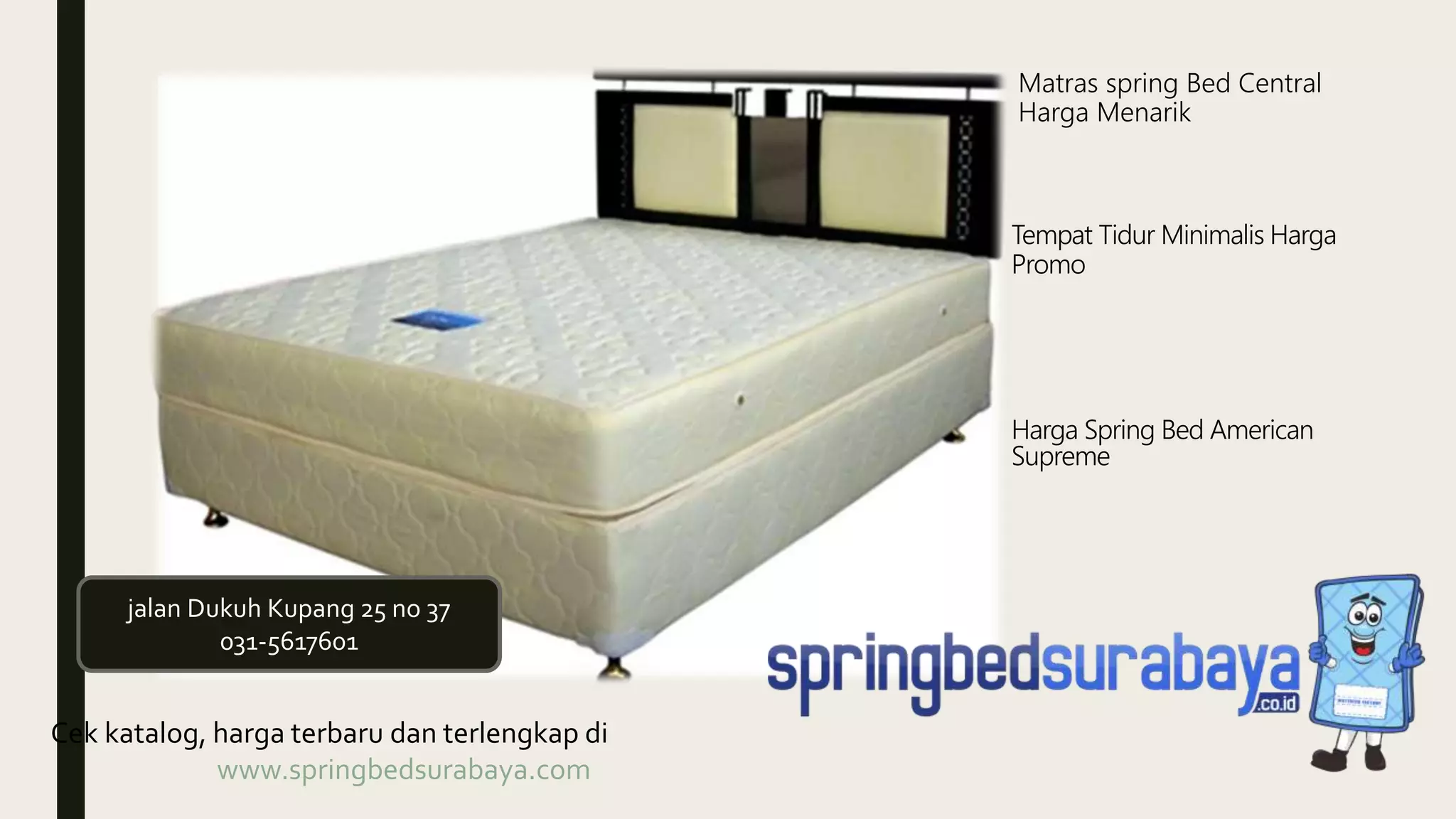 eagle springbed | PPT