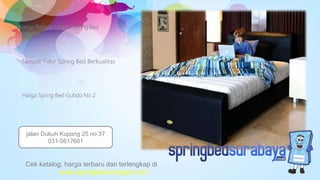 spring bed hugo | PPT