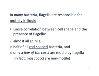 2. pracical. motility, gram staining | PDF