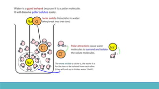 2.2 properties of water | PPTX | Chemistry | Science