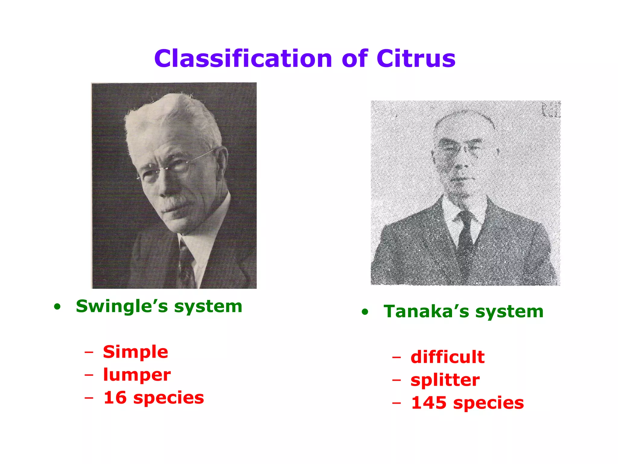 citrus classification | PPT | Gardening | Home & Garden
