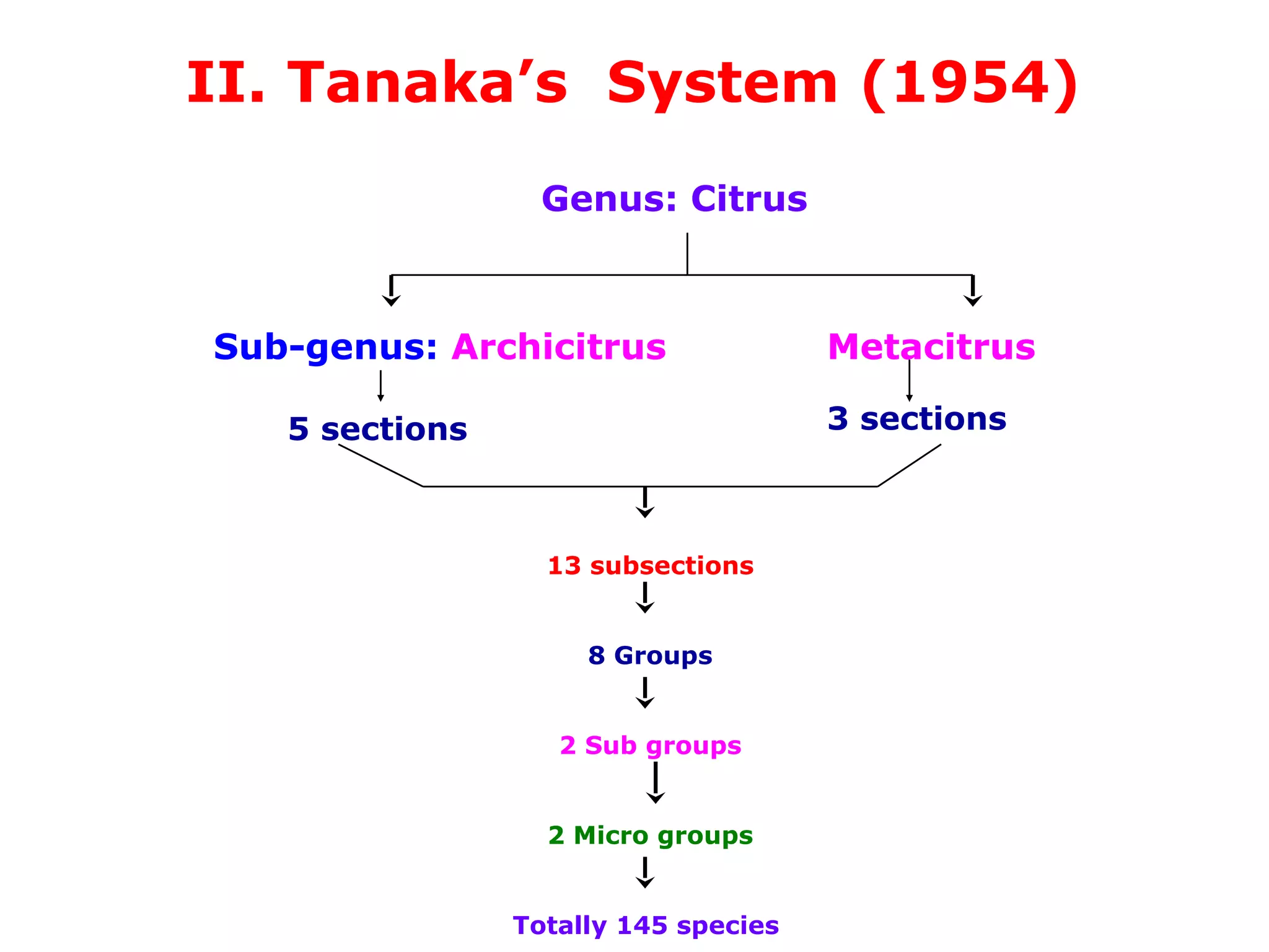 citrus classification | PPT