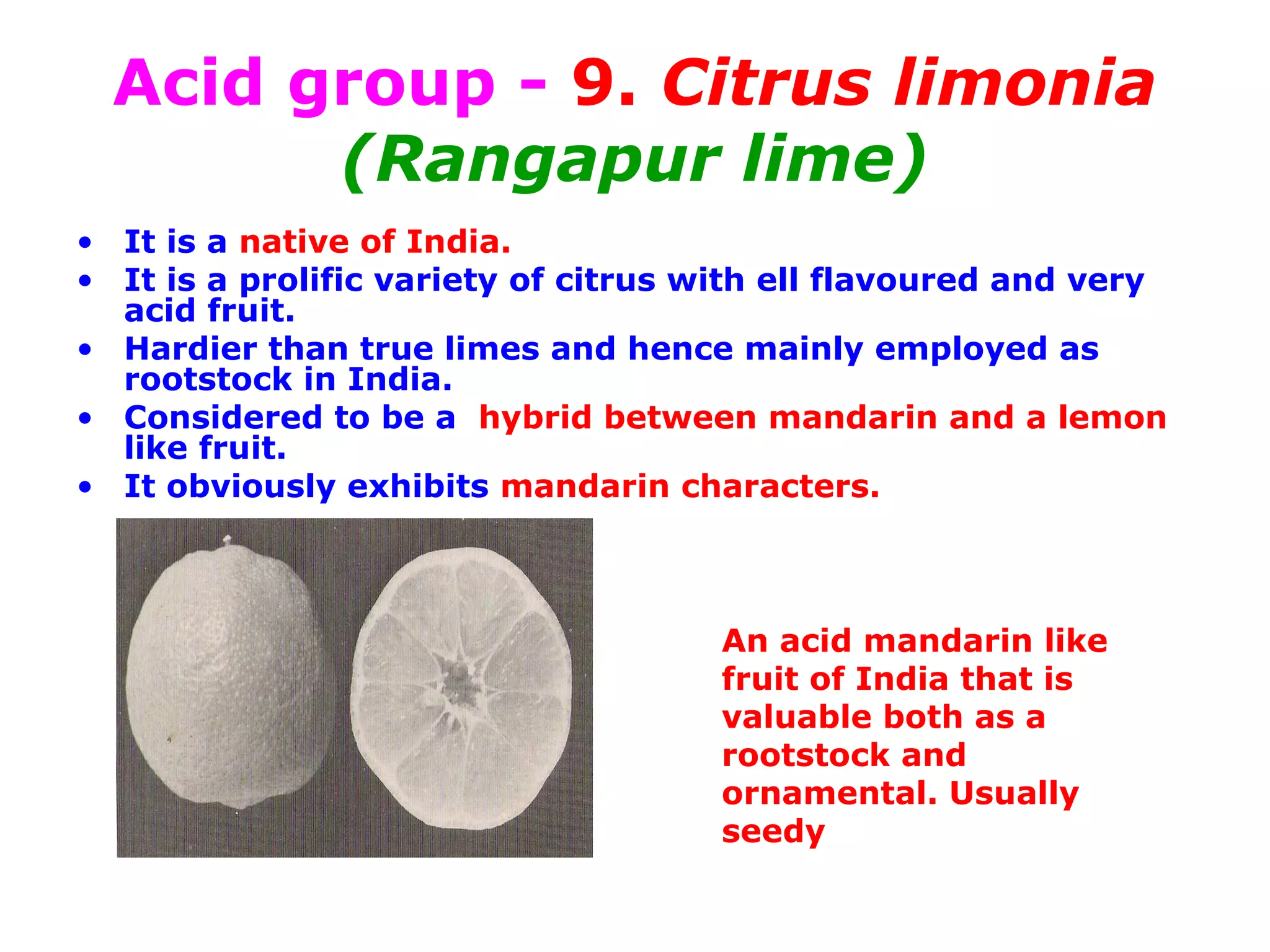 citrus classification | PPT