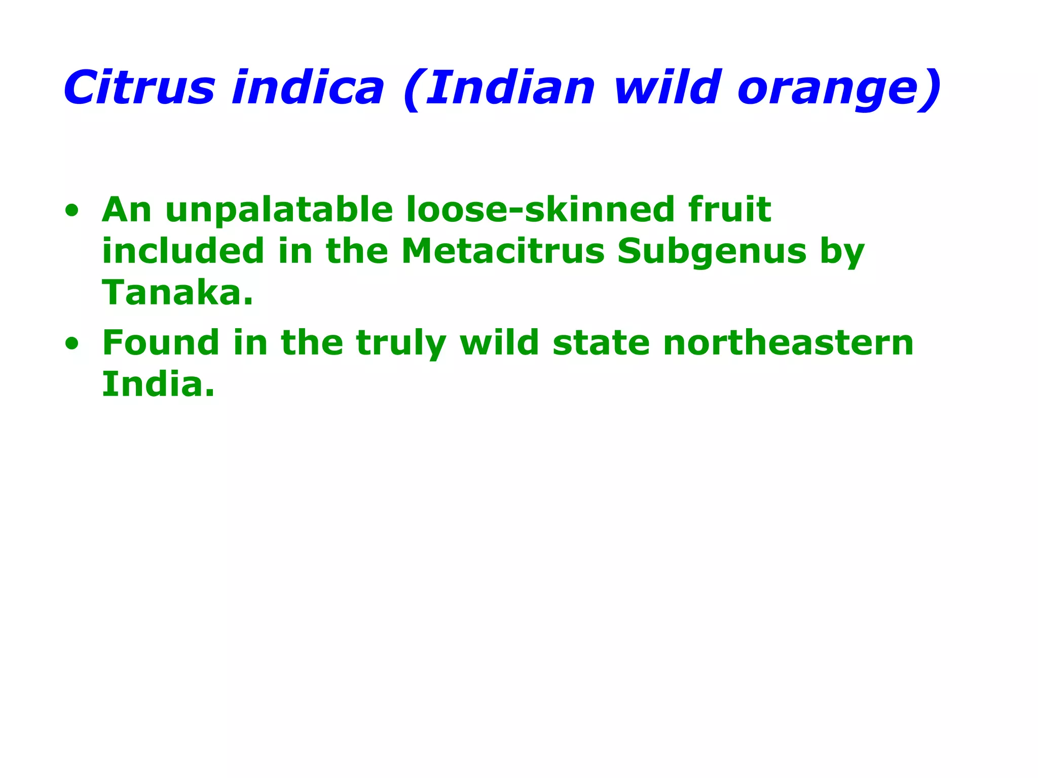 citrus classification | PPT