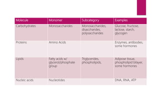 2.1 molecules to metabolism | PPTX