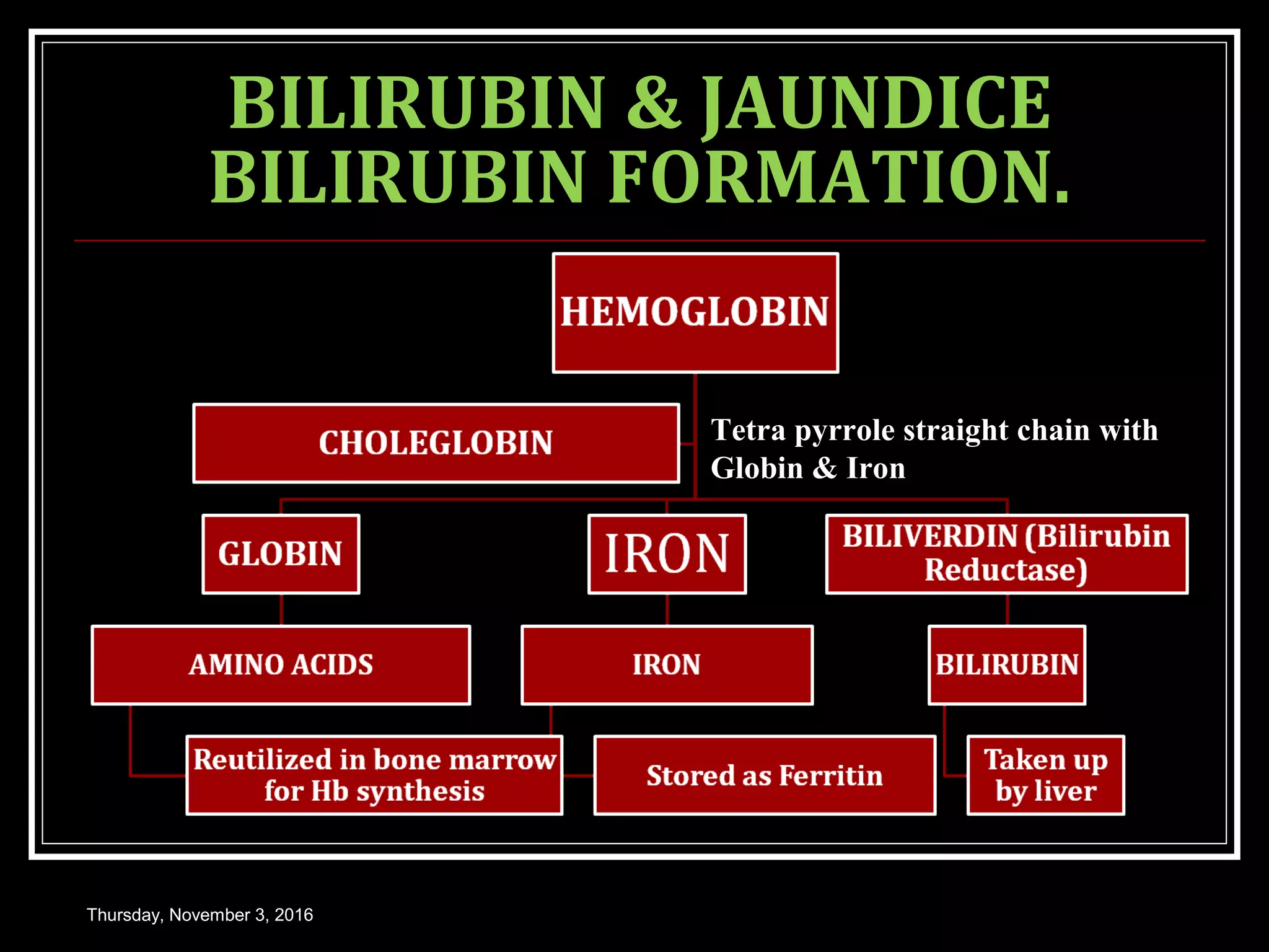 JAUNDICE | PPT