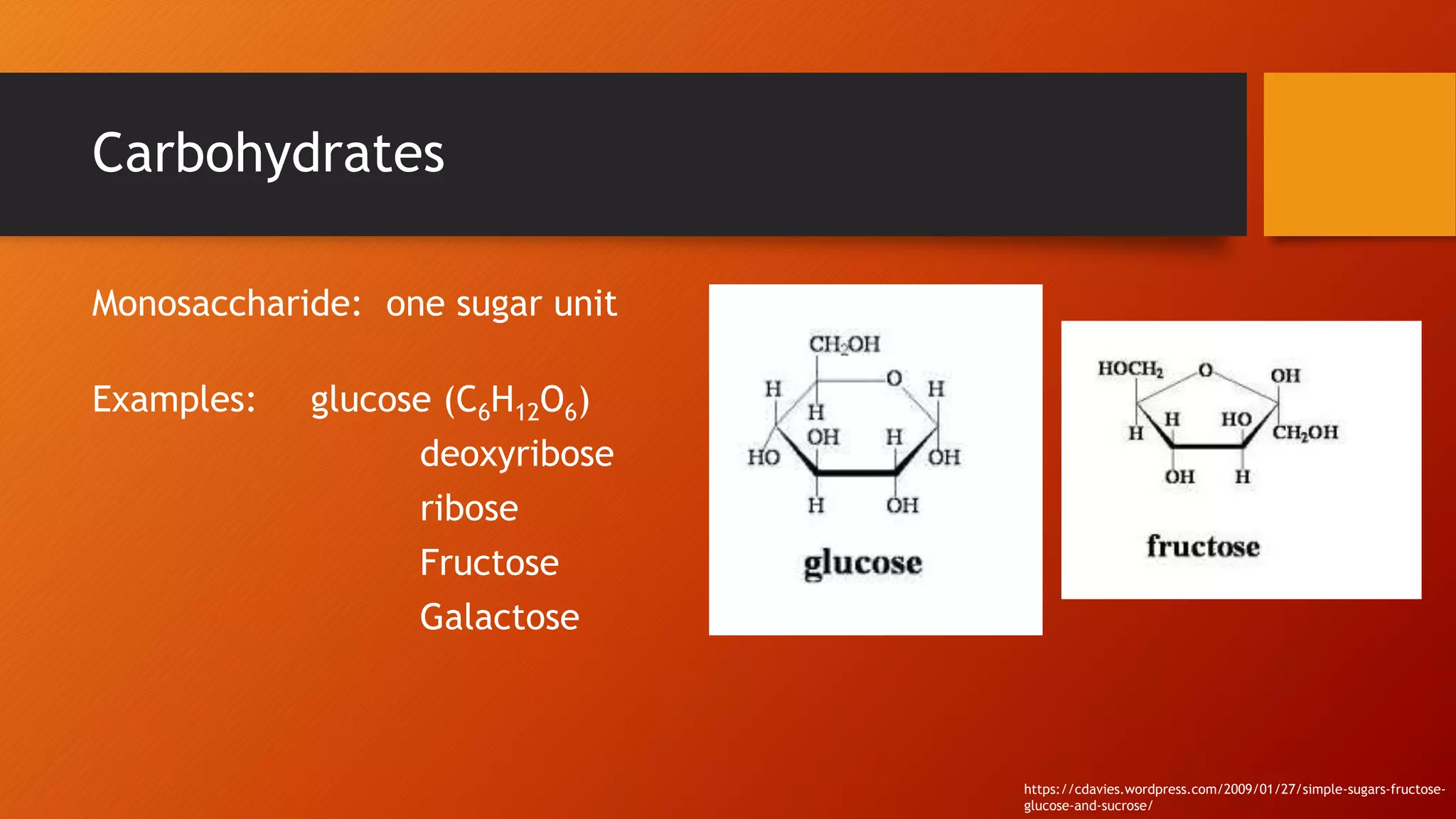 2.3 carbohydrates and lipids | PPTX