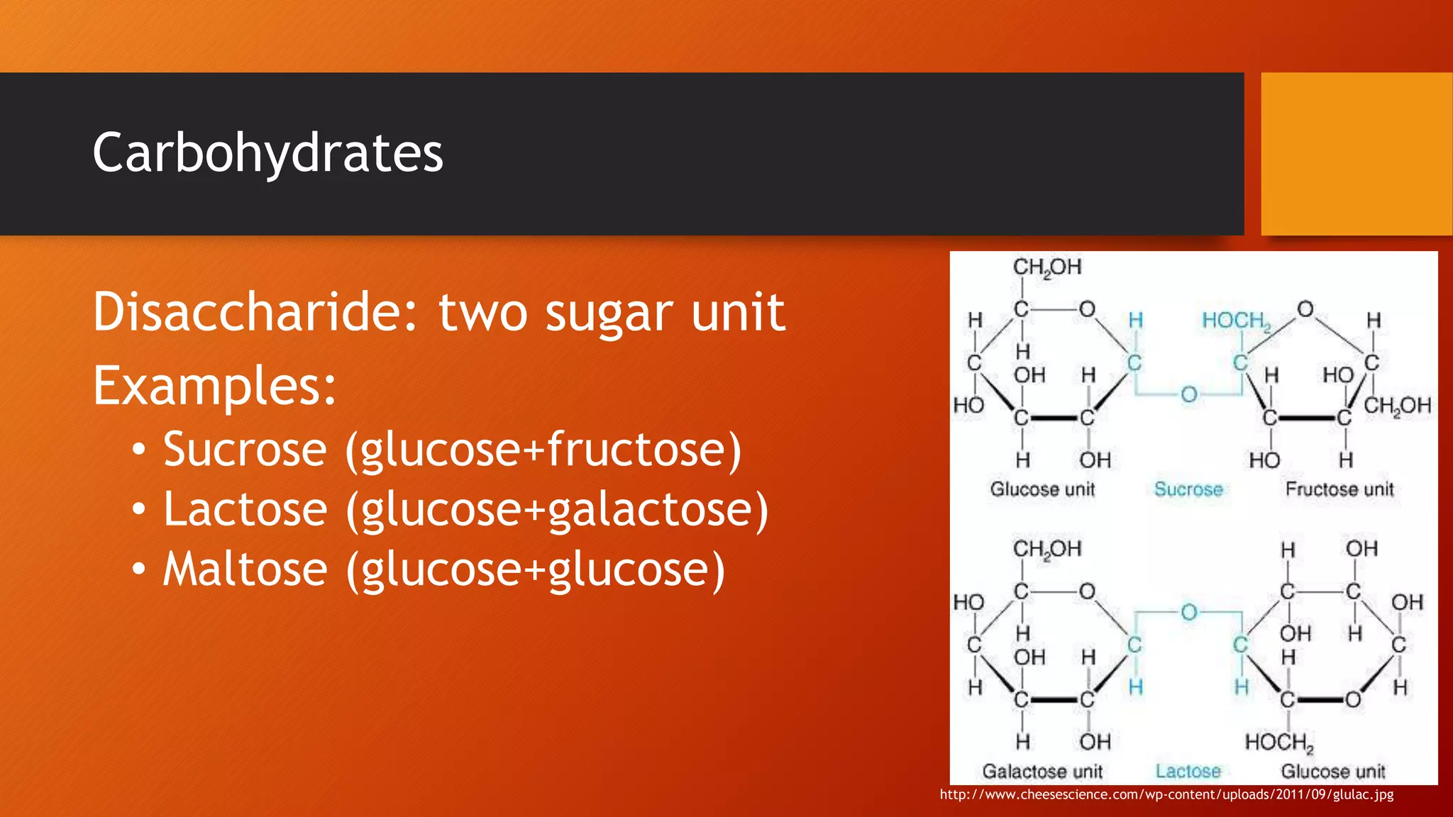 2.3 carbohydrates and lipids | PPTX