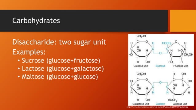 2.3 carbohydrates and lipids | PPT