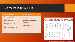 2.3 carbohydrates and lipids | PPTX