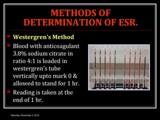 RED BLOOD CELL AND HAEMATOCRIT | PPT