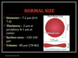 RED BLOOD CELL AND HAEMATOCRIT | PPT