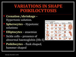RED BLOOD CELL AND HAEMATOCRIT | PPT