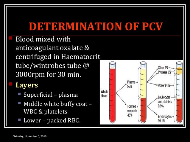 RED BLOOD CELL AND HAEMATOCRIT