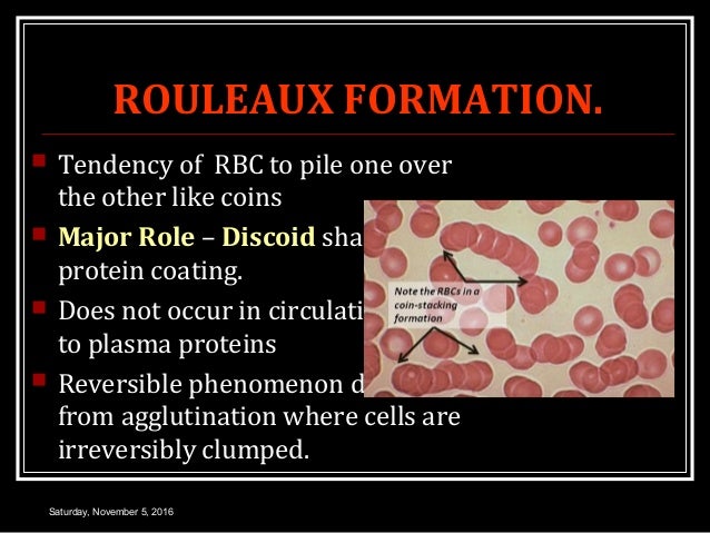 RED BLOOD CELL AND HAEMATOCRIT